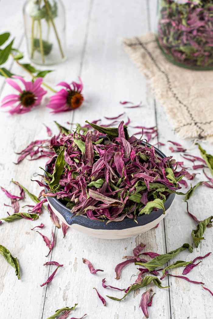 Homemade Echinacea Tea - Adventures in FoodieLand